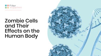 Zombie Cells and Their Effects on the Human Body